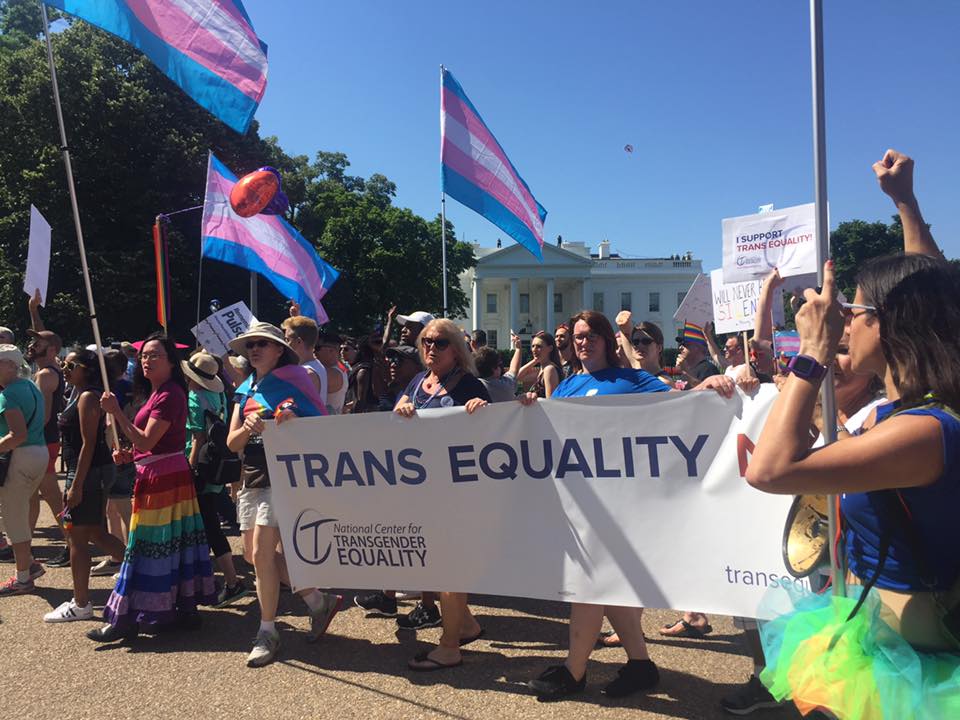 Trans Advocacy – Rachel See